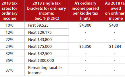 Belize Tax Rates: A Comprehensive Guide for Taxpayers ⇢