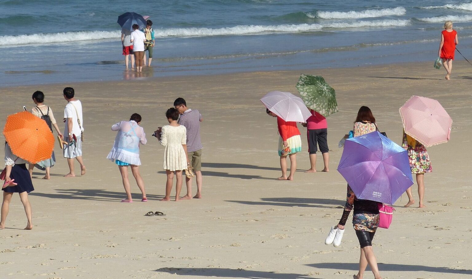 Complete Guide to Form F3712: Medical Certificate for Drivers ⇢