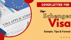 Complete Guide to New Zealand Visitor Visa Declaration Form ⇢