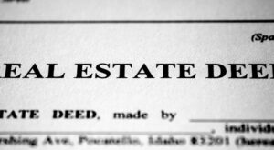 Essential Farm Tax Deductions in Australia: A Complete Guide ⇢