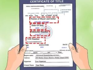 Essential Guide to Certificate of Title: What You Need to Know ⇢