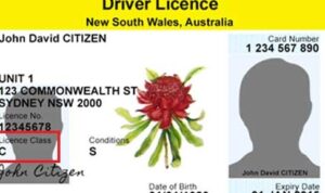 Essential Guide to License Check in NSW: What You Need to Know ⇢