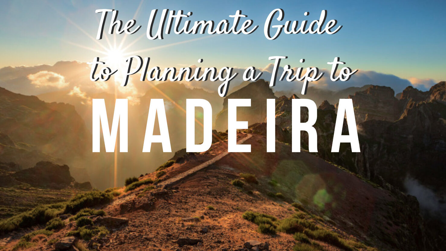 Essential Guide to New Zealand Travel Forms: All You Need to Know ⇢