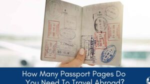 Essential Guide to Renewing Your Passport in Mauritius ⇢