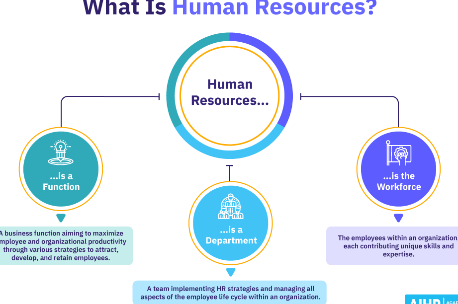 Essential Guide to Tax Officers: Roles and Responsibilities ⇢