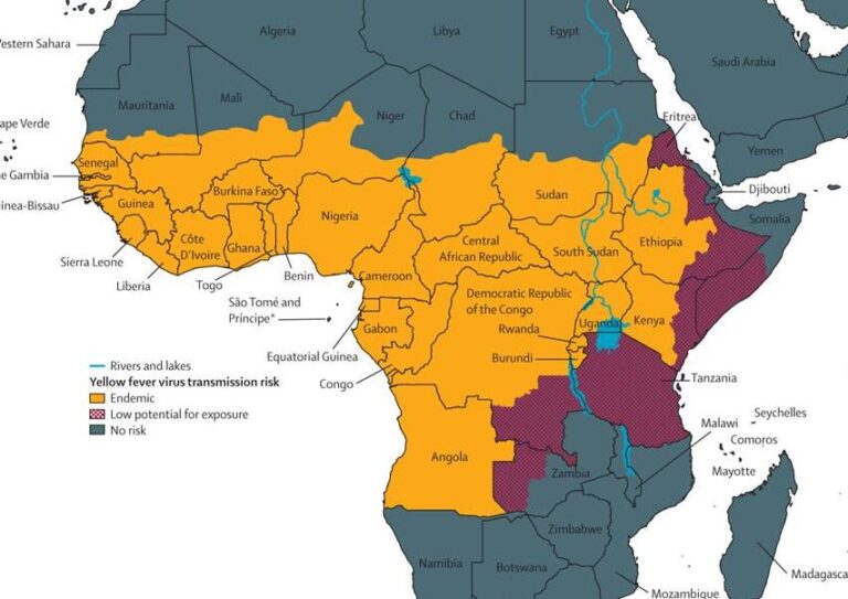 Essential Guide to Yellow Fever Vaccination Certificates ⇢