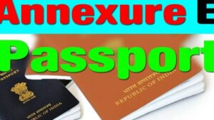 Essential Requirements for Renewing Your Mauritian Passport ⇢