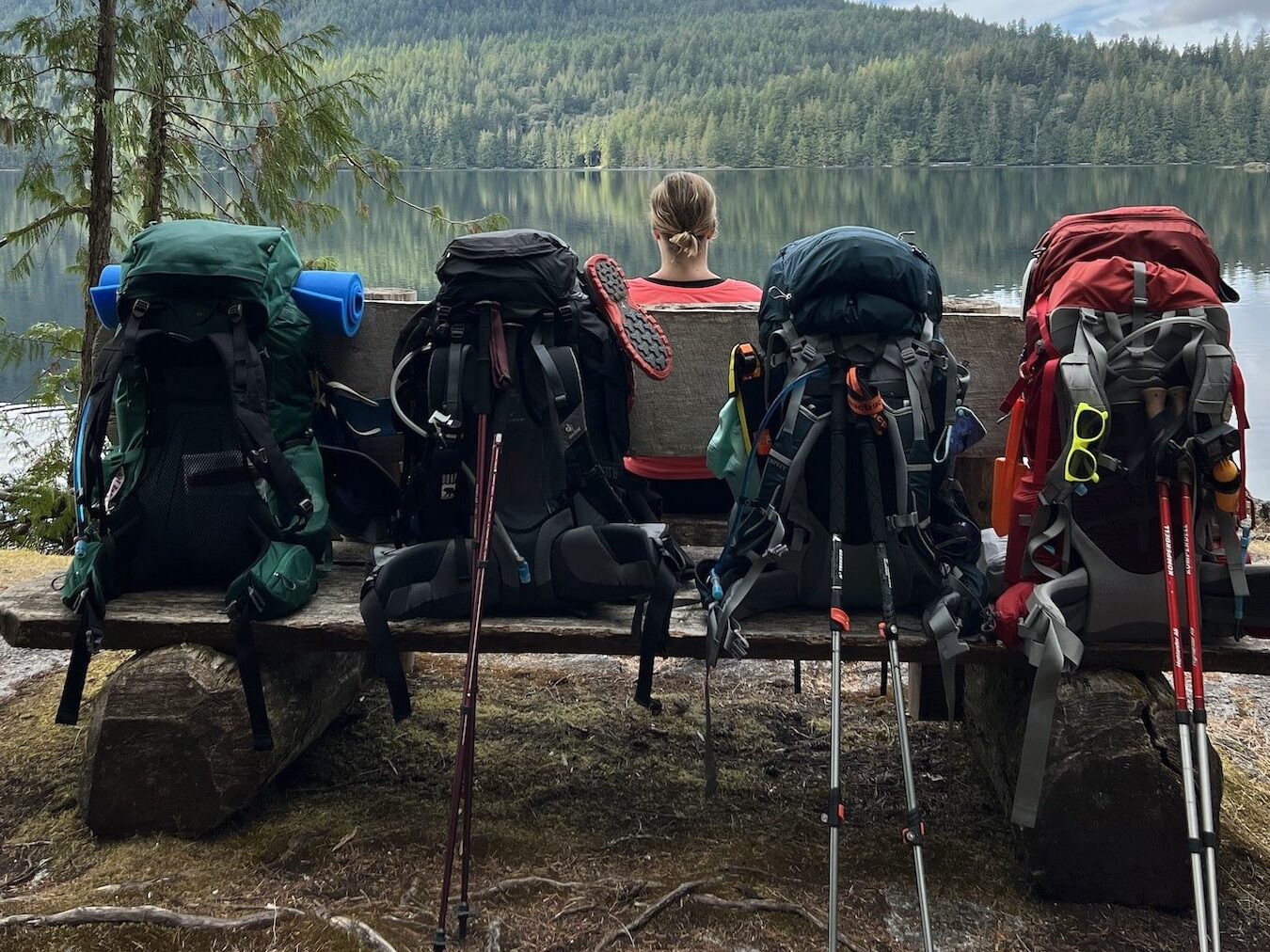 Everything You Need to Know About Roadworthy Certificates in Sunshine ...