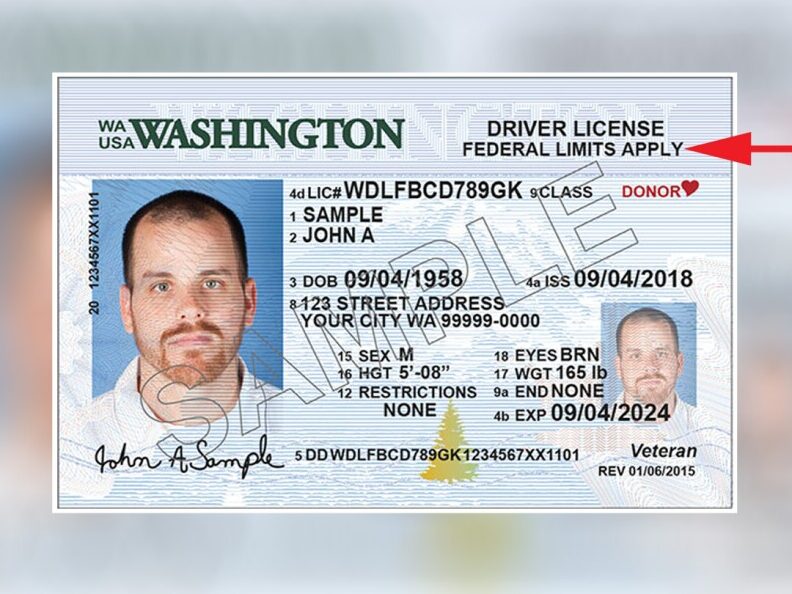 Everything You Need to Know About the Green P License ⇢
