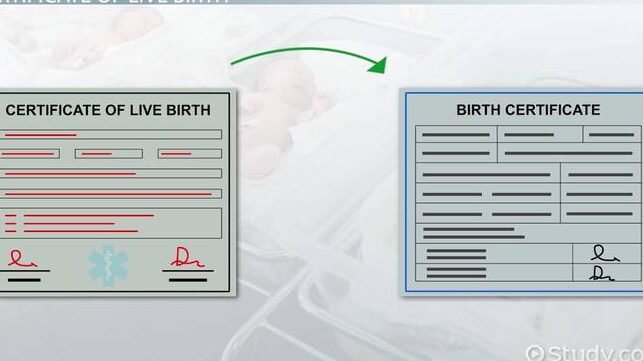 Exploring a Chinese Birth Certificate Example ⇢