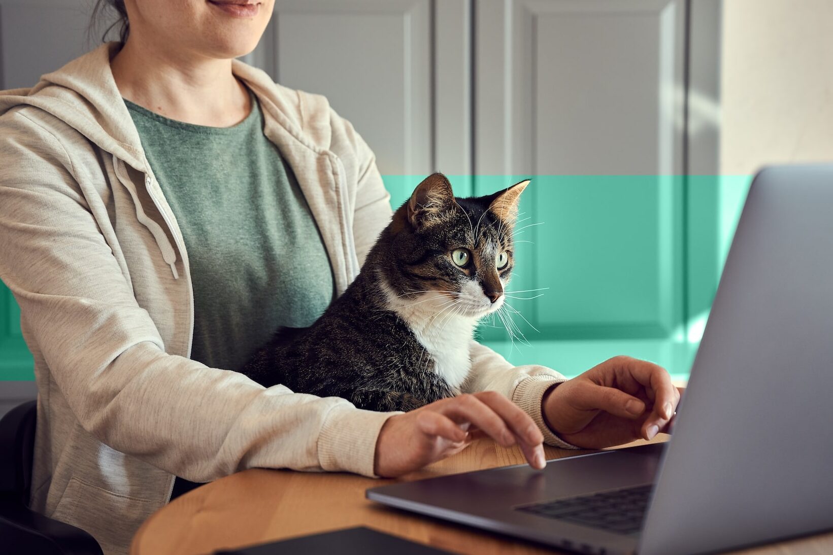 Get Your RSA Certificate Online in Victoria: Everything You Need to Know ⇢