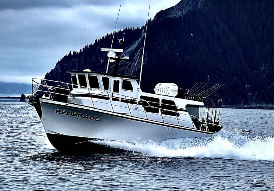 Master the Waves: Your Guide to Obtaining a Skipper License ⇢