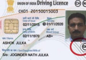 Punjab Driving License: Everything You Need to Know ⇢
