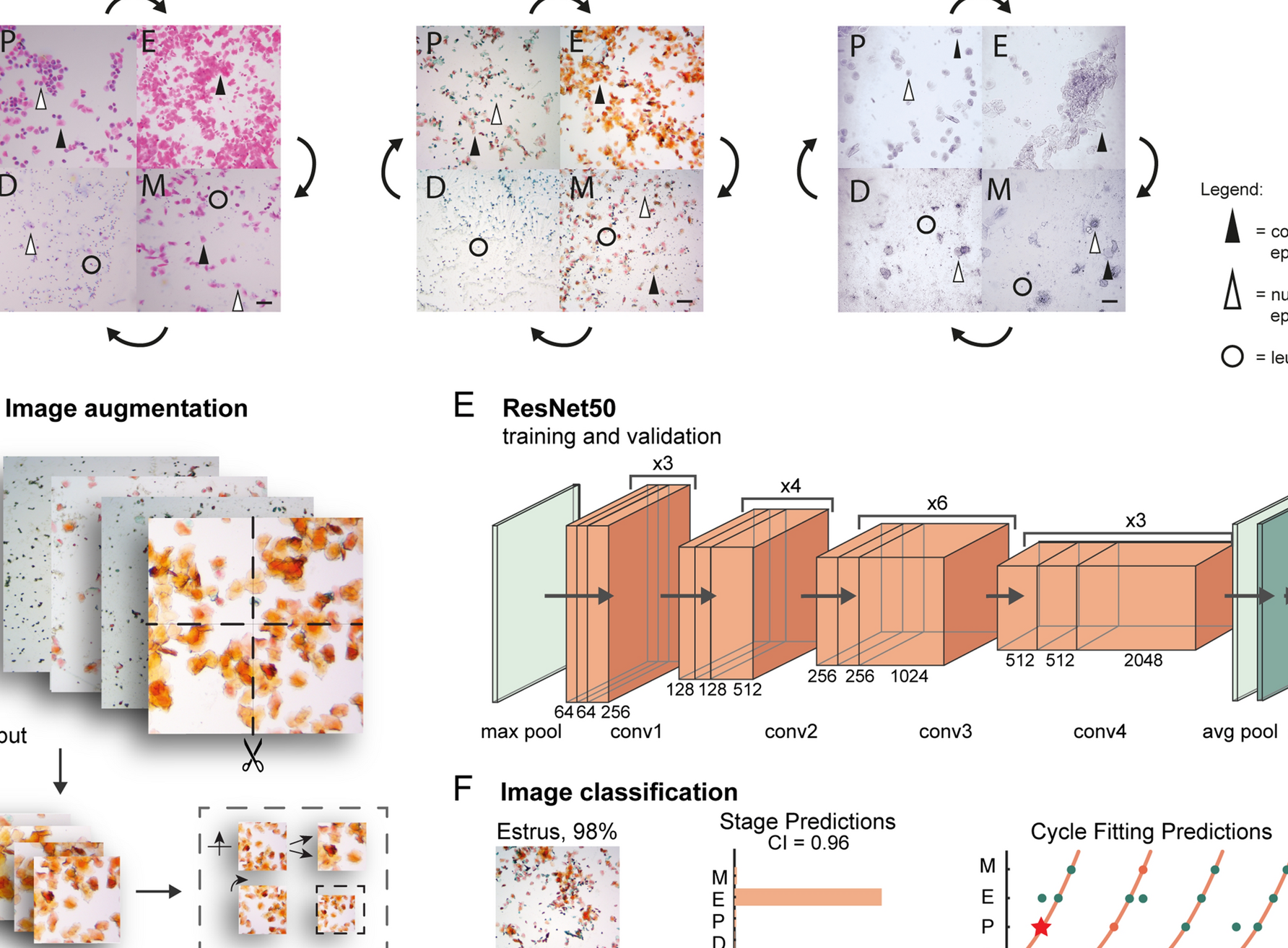 Renew Your NSW License Online: A Quick & Easy Guide ⇢