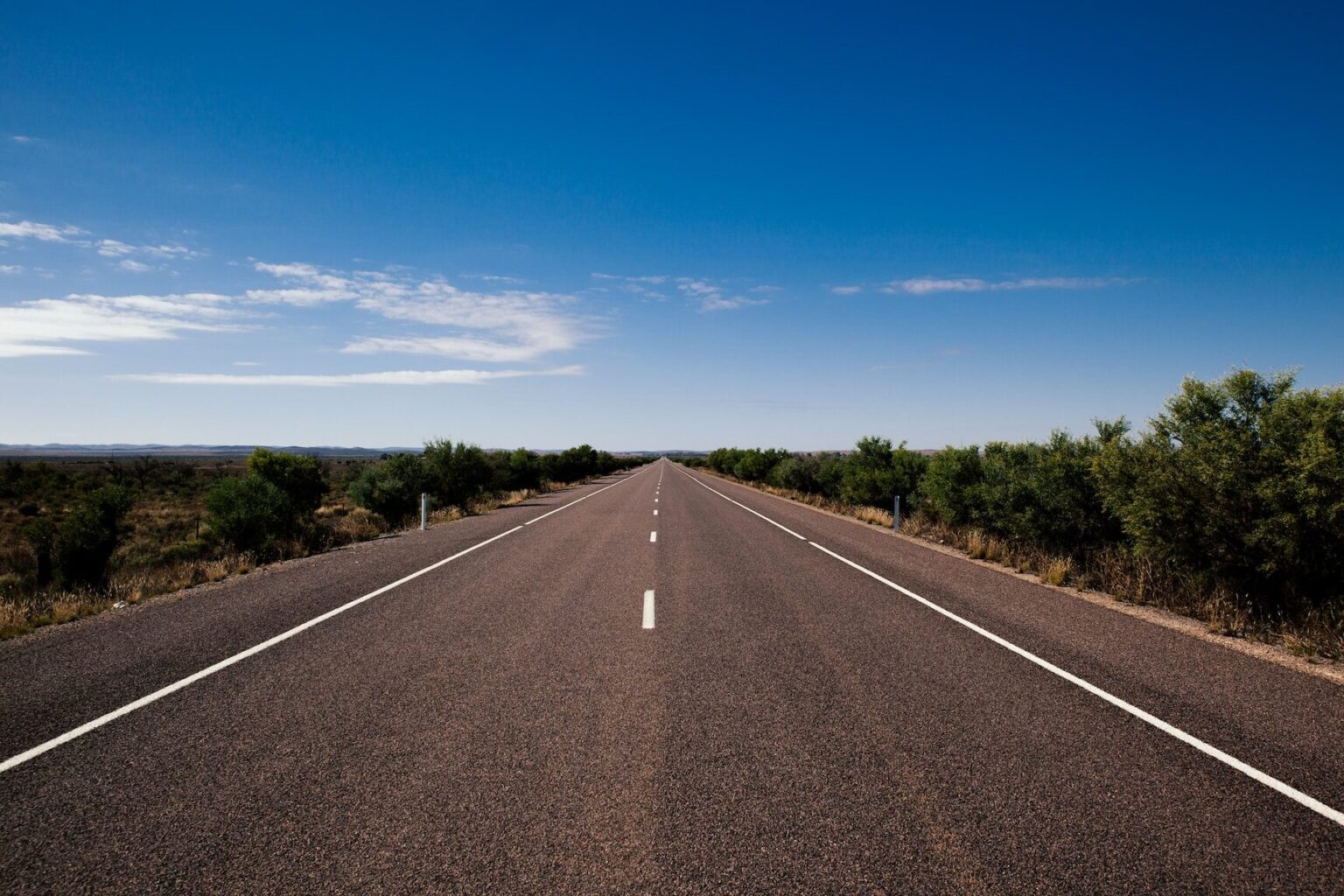 Renew Your Working with Children Check in NSW: A Complete Guide ⇢