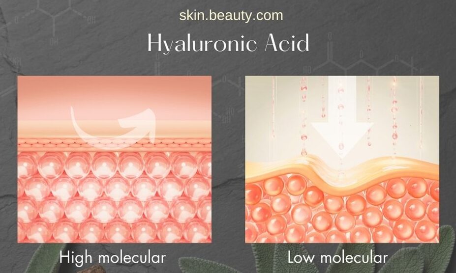Revitalize Your Skin: A Guide to Renew Skin Clinics in Reservoir ⇢