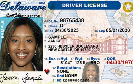 Transform Your Business: The Ultimate Guide to Changing Your License Name ⇢