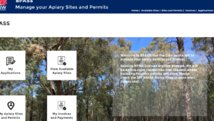 Understanding NSW License Renewal Costs: What You Need to Know ⇢