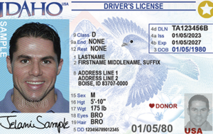 Understanding the ID Number on Your Driver's License ⇢