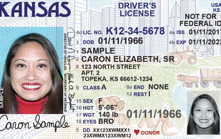 Understanding the Renewal Costs for SA Driver's License ⇢