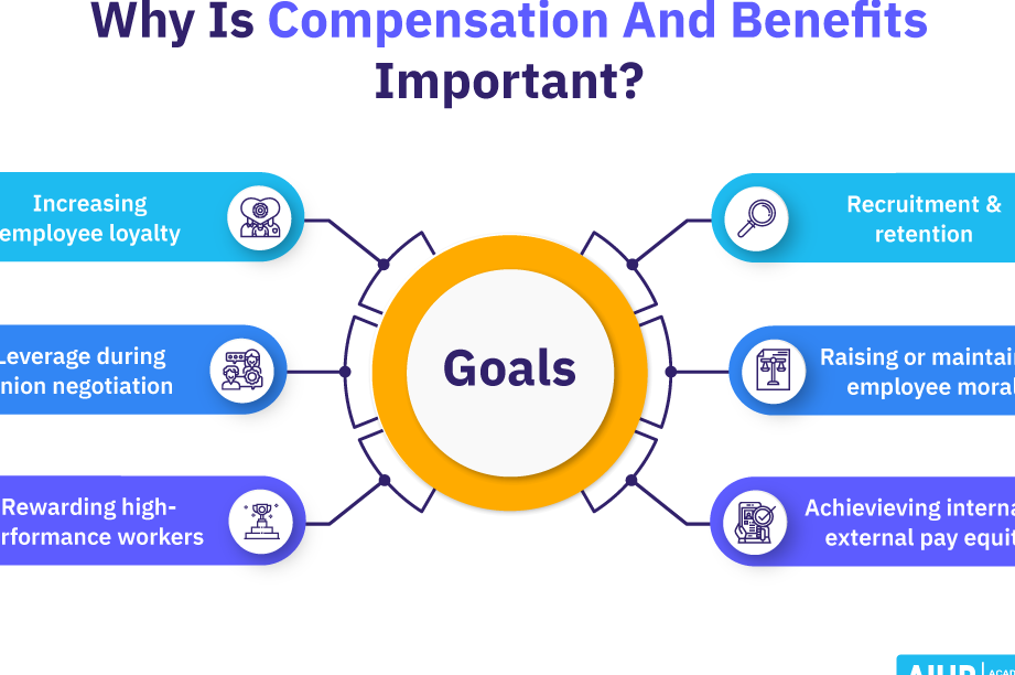 Your Guide to Certificate IV in Government: Requirements & Benefits ⇢
