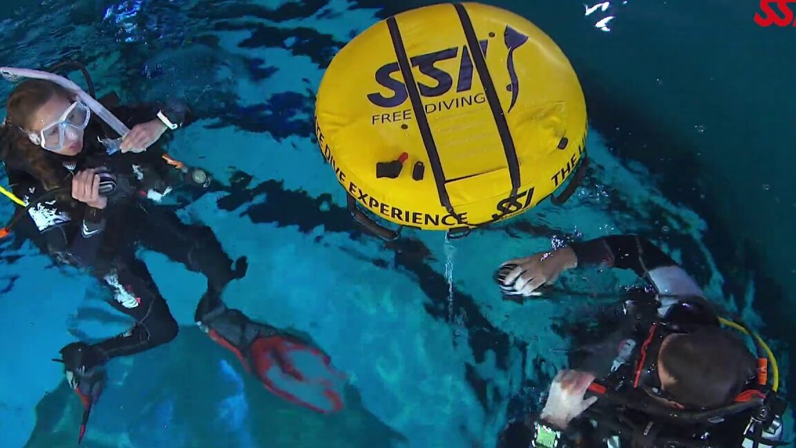 Your Guide to Diving Certification in Perth: Everything You Need to Know ⇢