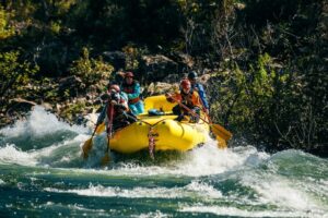 Your Complete Guide to P2 License Requirements in NSW ⇢