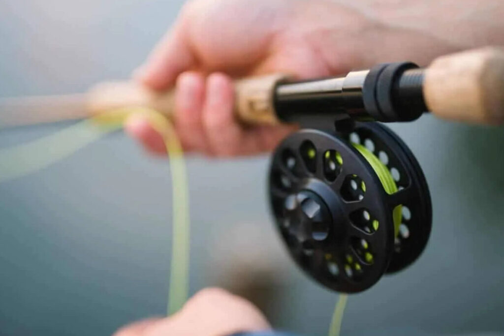 Your Guide to Obtaining a Fishing License in NSW ⇢